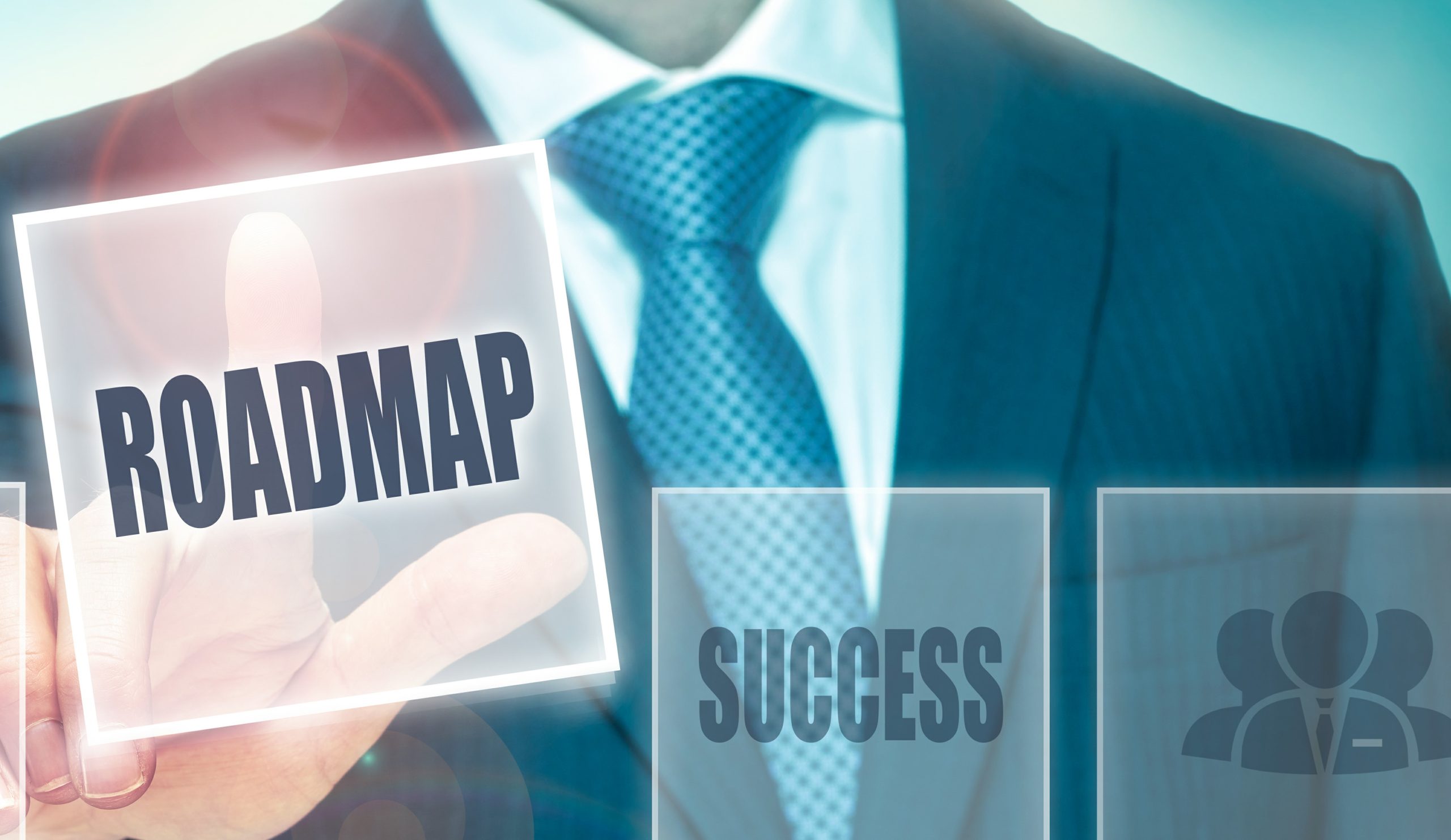 Project Harmony: Orchestrating a Sustainable Portfolio Roadmap